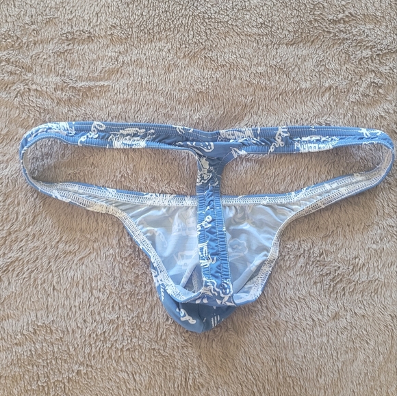 n2n bodywear | Swim | N2n Bodywear Swim Thong Blue L | Poshmark